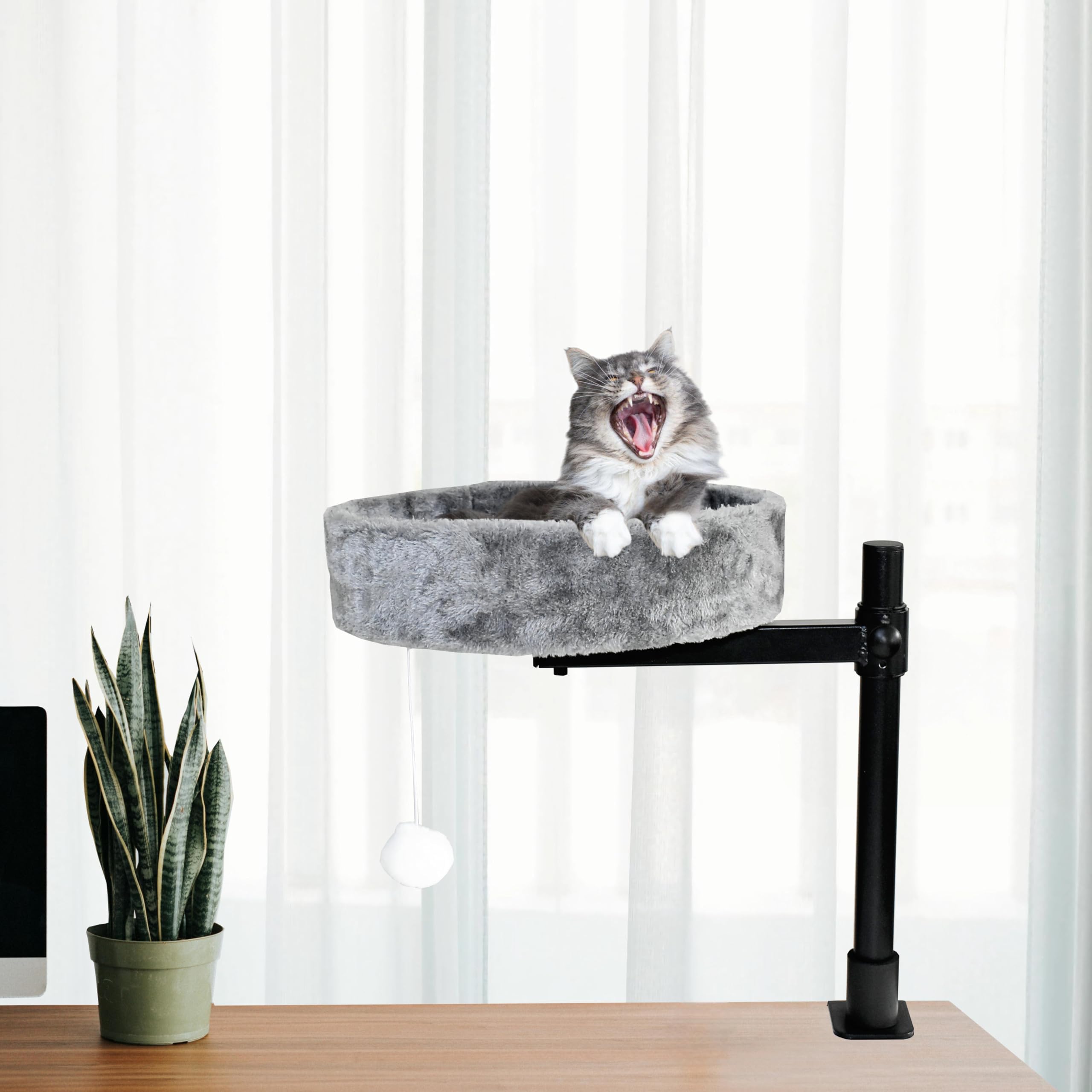 Amazon.com : PETNF Cat Desk Bed, Cat Bed for Desk with Soft Mat ...