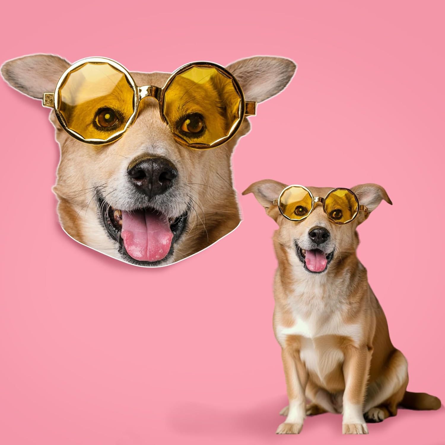 Amazon.com: Custom Big Head with Photo,Custom Pet Big Head Face Cutout ...