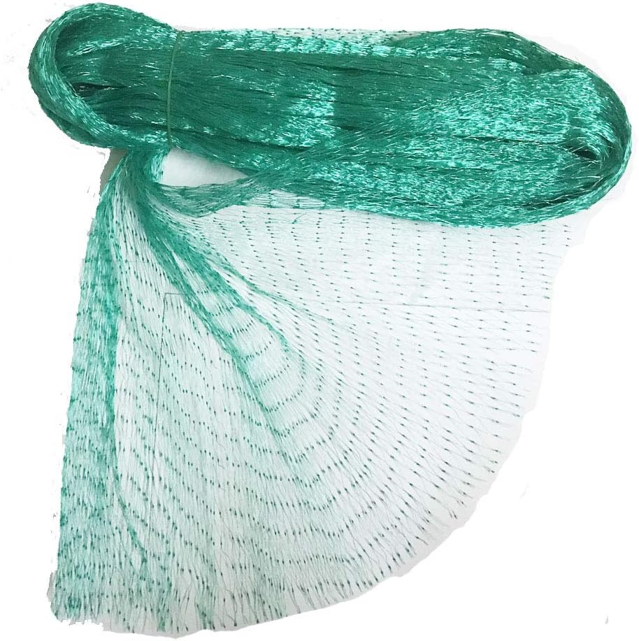 Amazon.com : 33 Ft x 13 Ft Green Anti Bird Netting Garden Protection ...