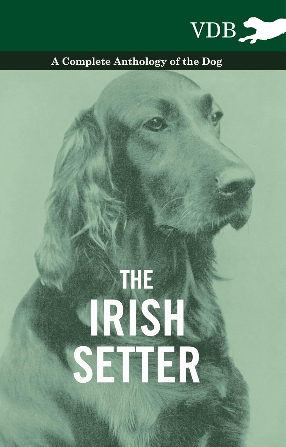 The Irish Setter - A Complete Anthology of the Dog: Various ...