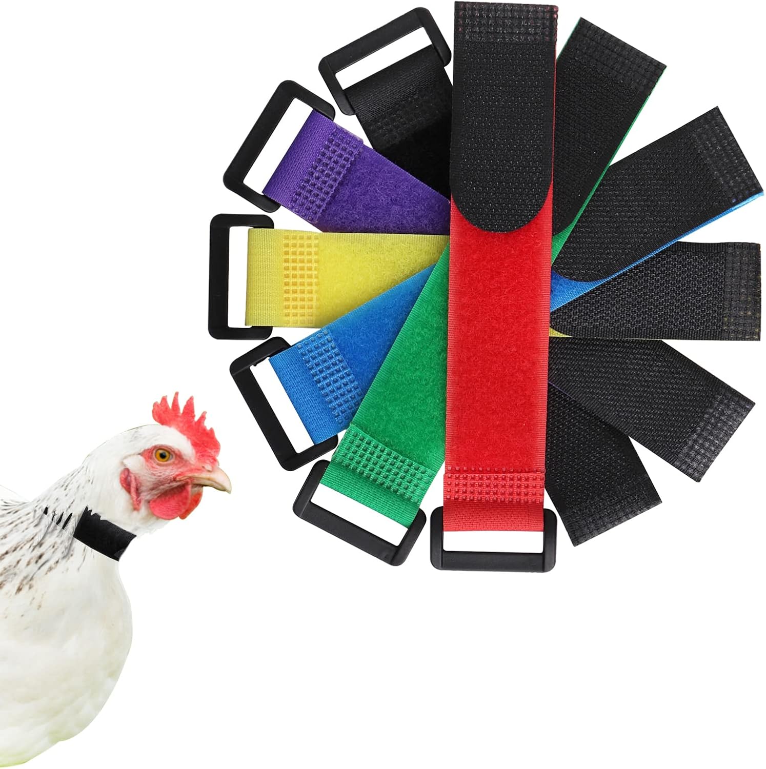 Amazon.com: BAEK No Crow Noise Rooster Neck Strap, No Raven Rooster ...
