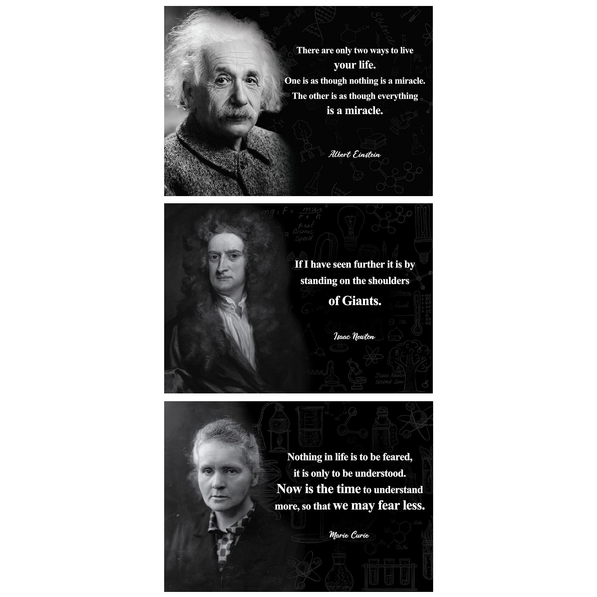 Buy SCENE: YOURSELF Science s Albert Einstein Science Classroom Decor ...