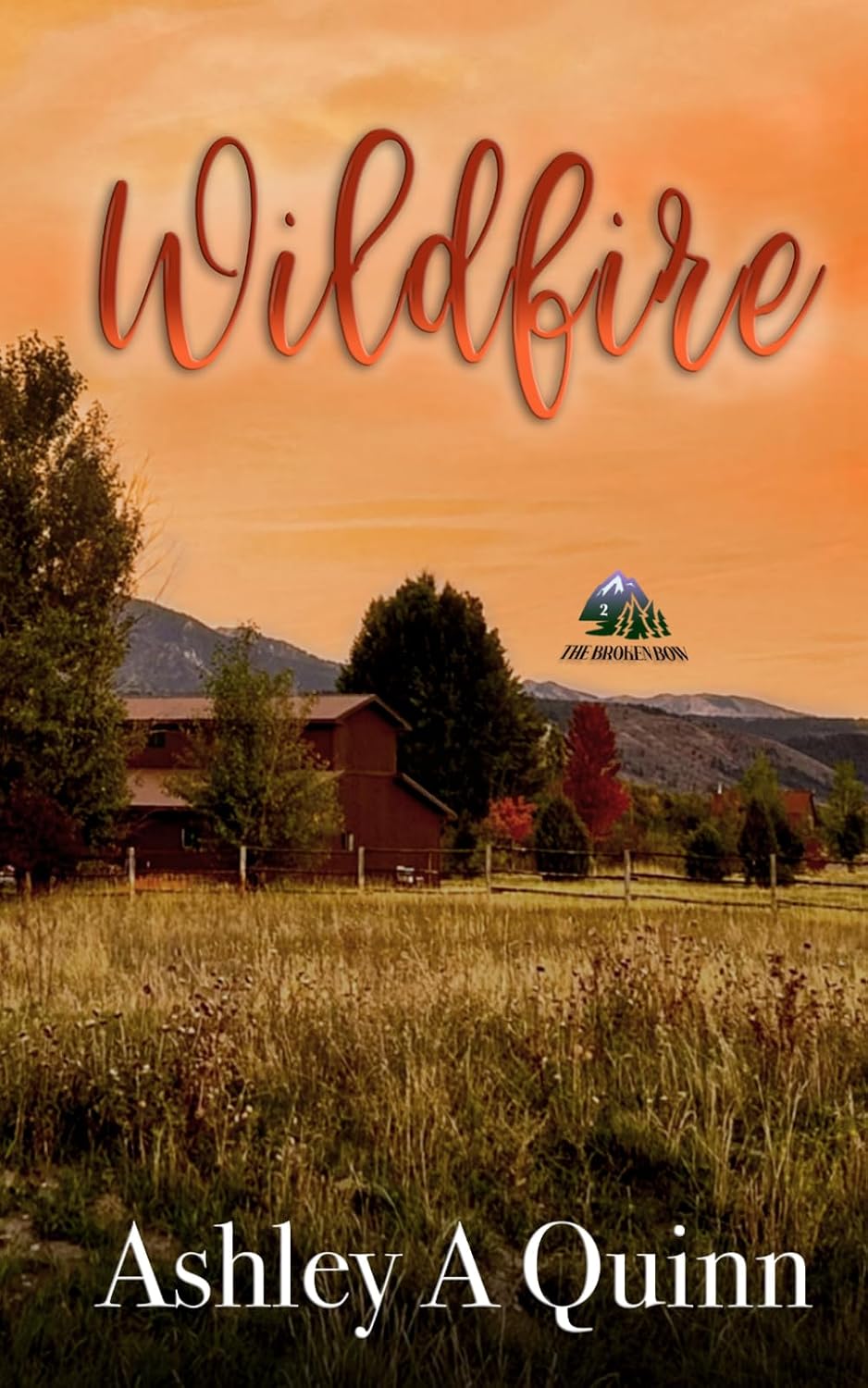 Wildfire (The Broken Bow): Quinn, Ashley A: 9781733160056: Amazon.com ...
