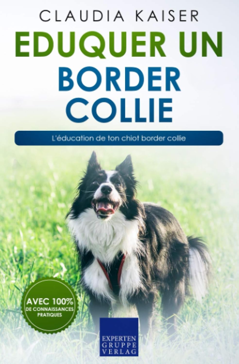 Eduquer un border collie: L'éducation de ton chiot border collie ...