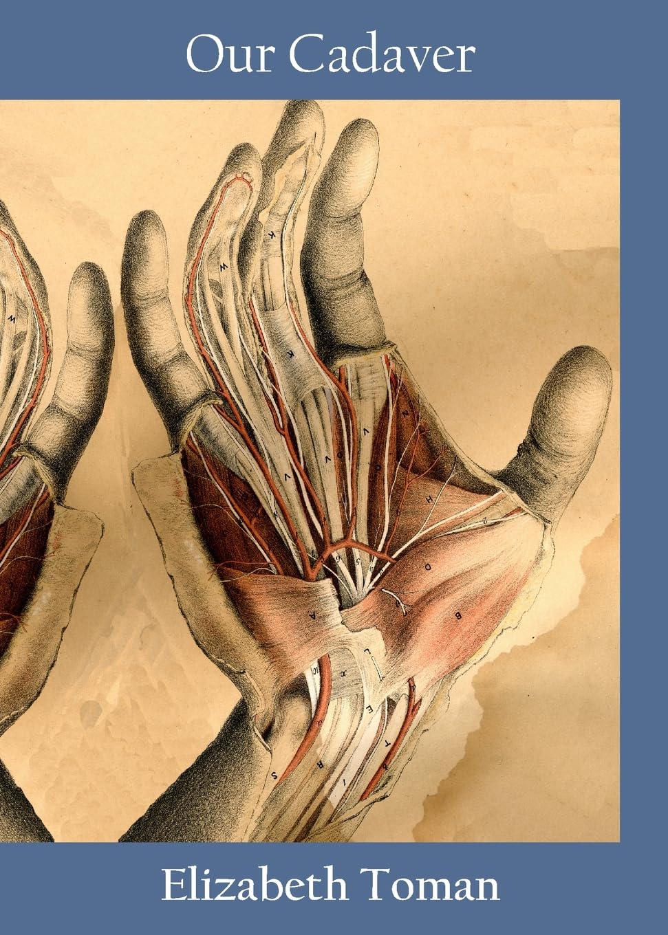 Our Cadaver: Toman, Elizabeth: 9781955521307: Amazon.com: Books