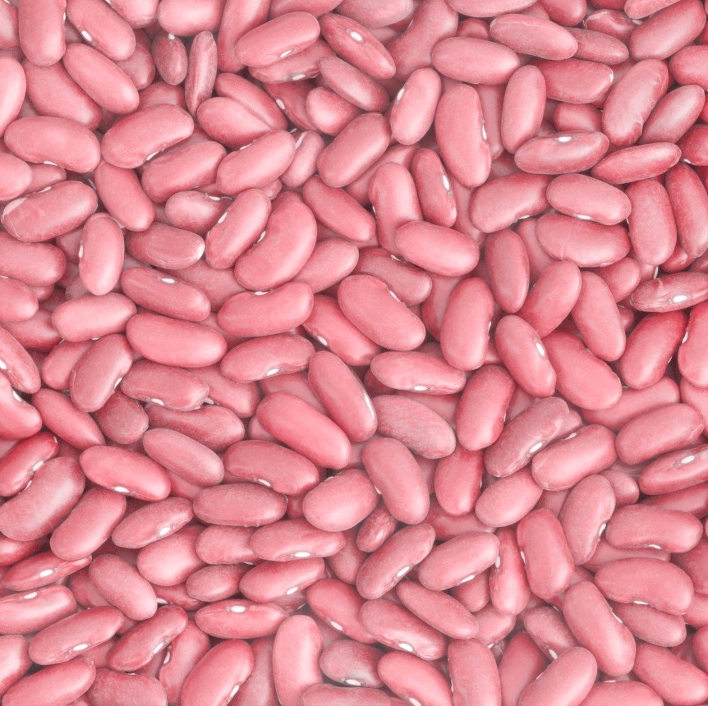 Amazon.com : PINK BEANS- 49.896lb : Grocery & Gourmet Food