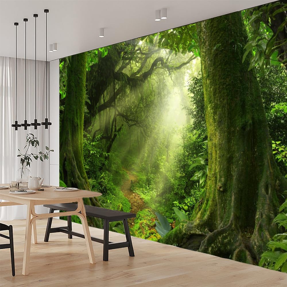 Amazon Forest Interior Design 7 Incredible Rainforest Houses You Can