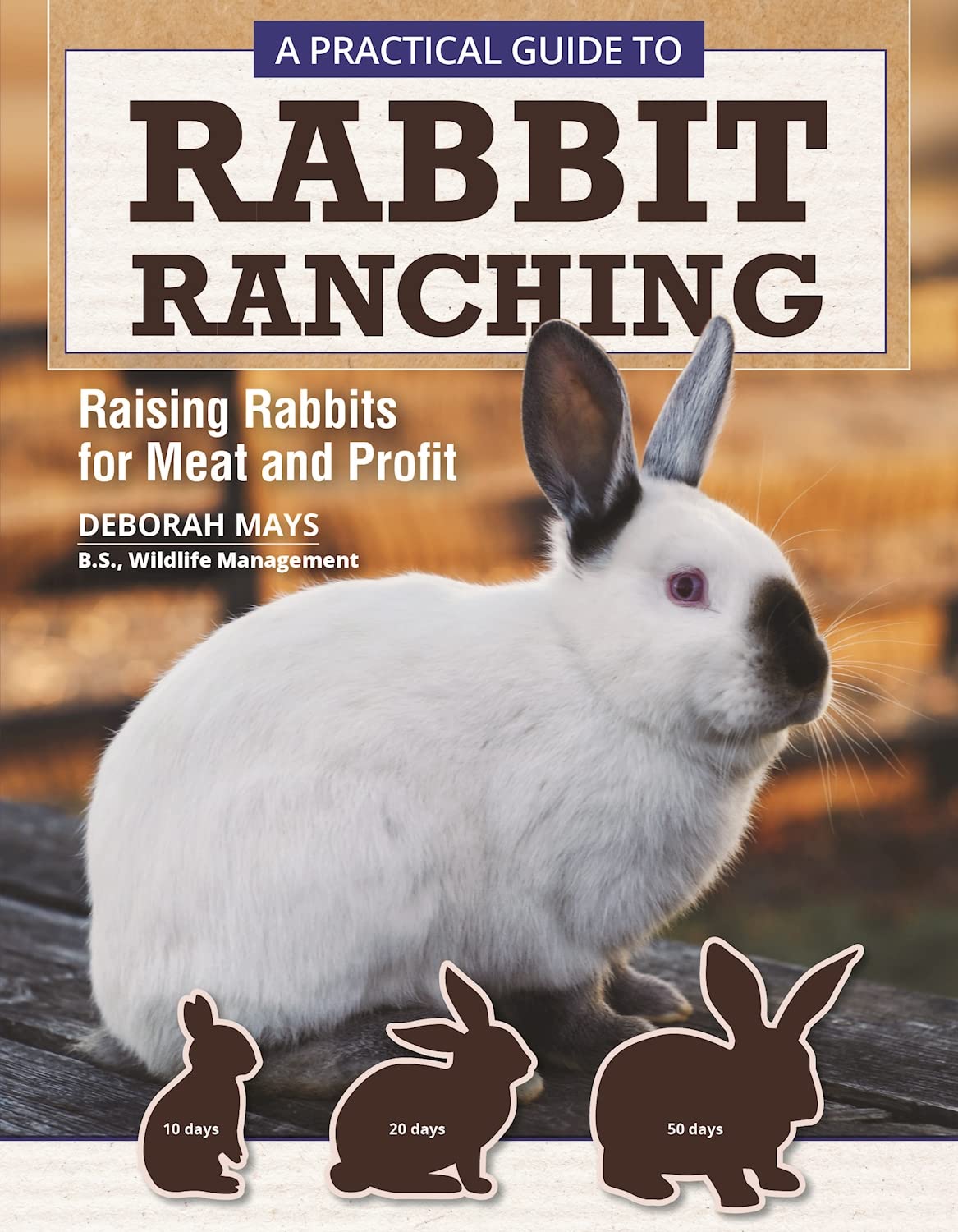 Amazon.com: A Practical Guide to Rabbit Ranching: Raising Rabbits for ...