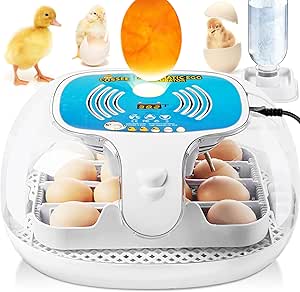 Amazon.com: Incubators for Hatching Eggs, Egg Incubator with Automatic Egg Turning and ...