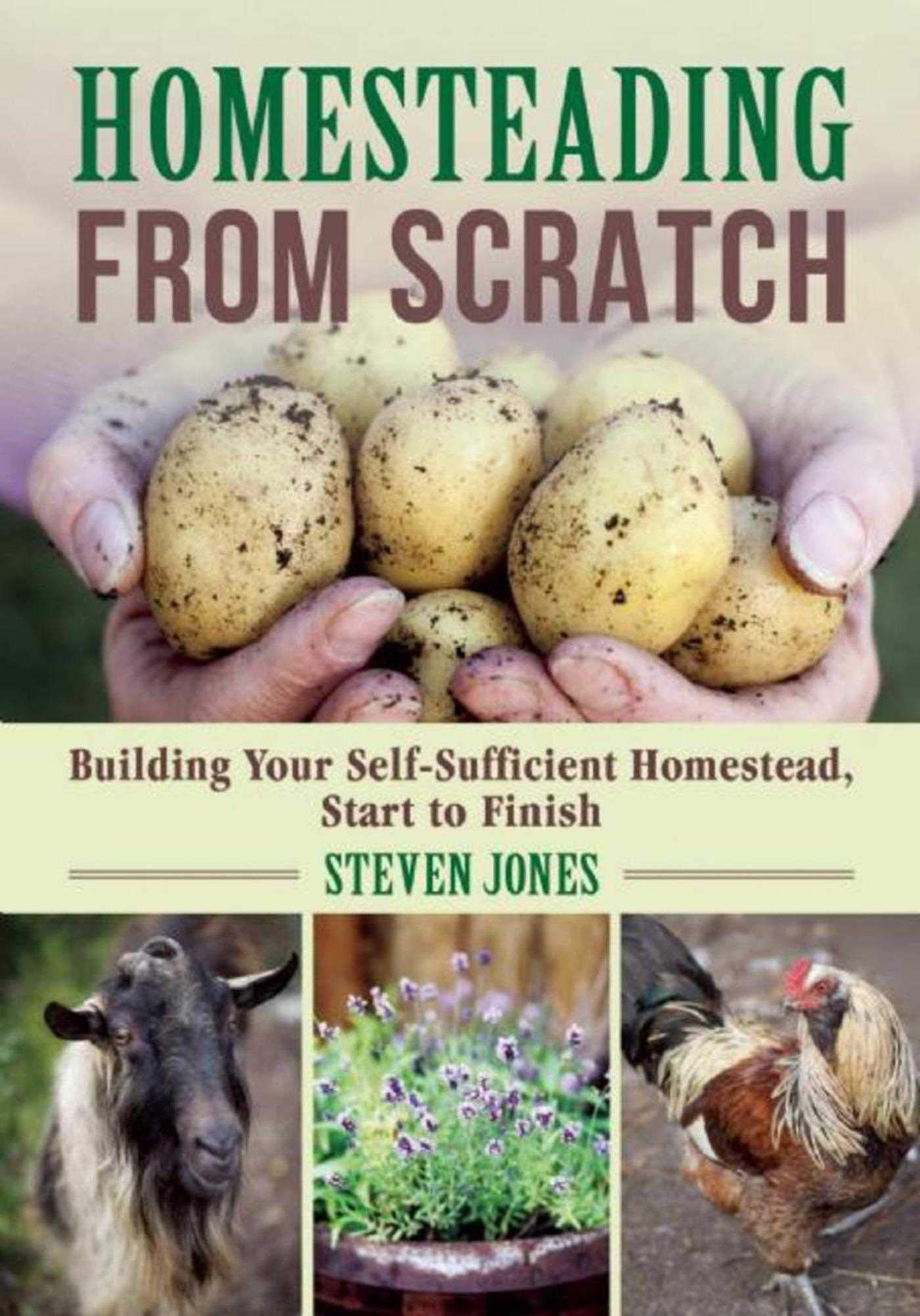 Homesteading From Scratch: Building Your Self-Sufficient Homestead ...