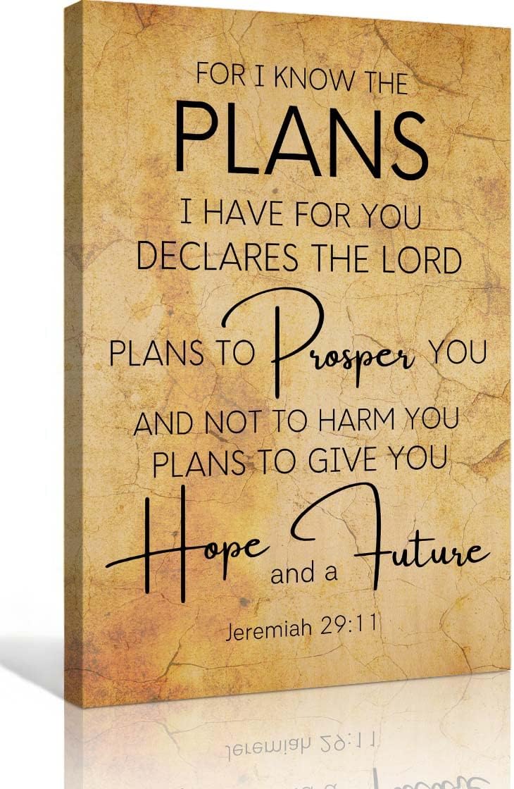 Amazon.com: Jeremiah 29 11 for I Know The Plans I Have for You Bible ...