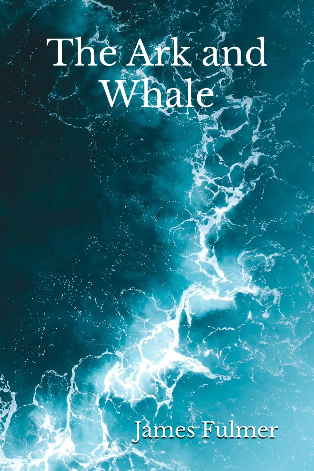 Amazon.com: The Ark and Whale: 9798858620211: Fulmer, James: Books
