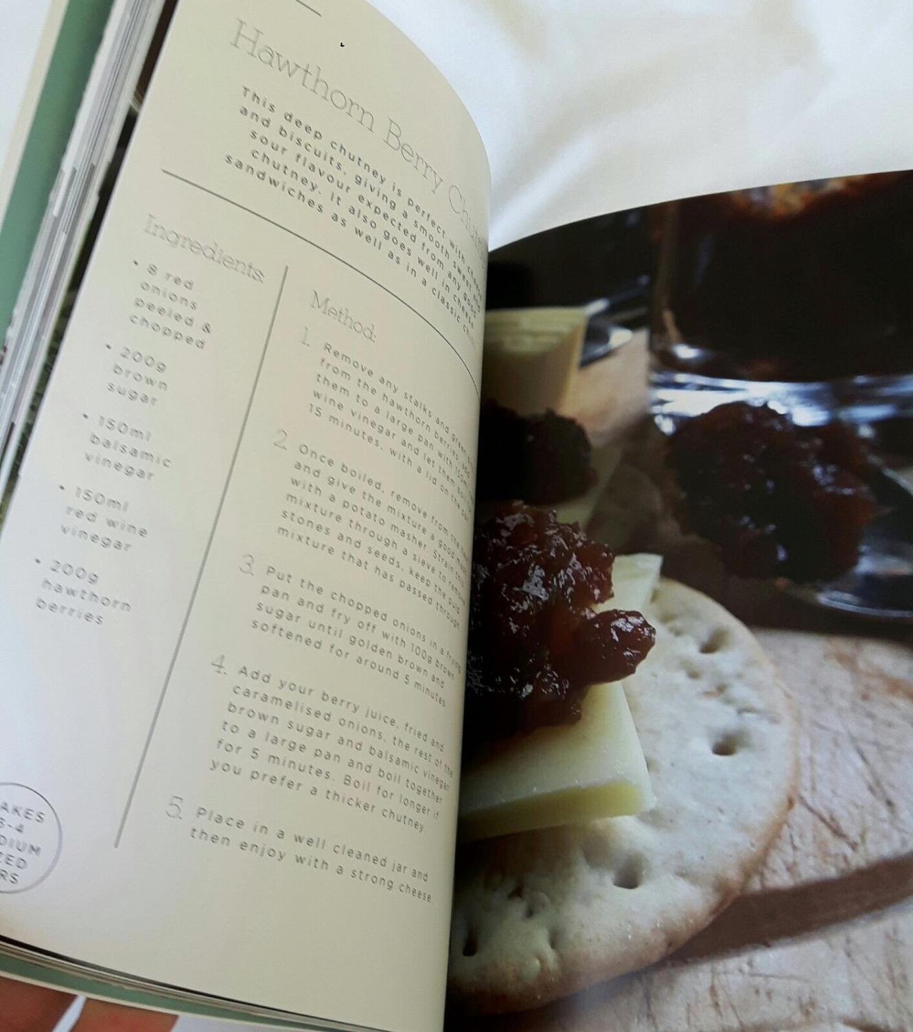 The Foragers' Cookbook: A Countryside Guide to Foraging and Cooking ...