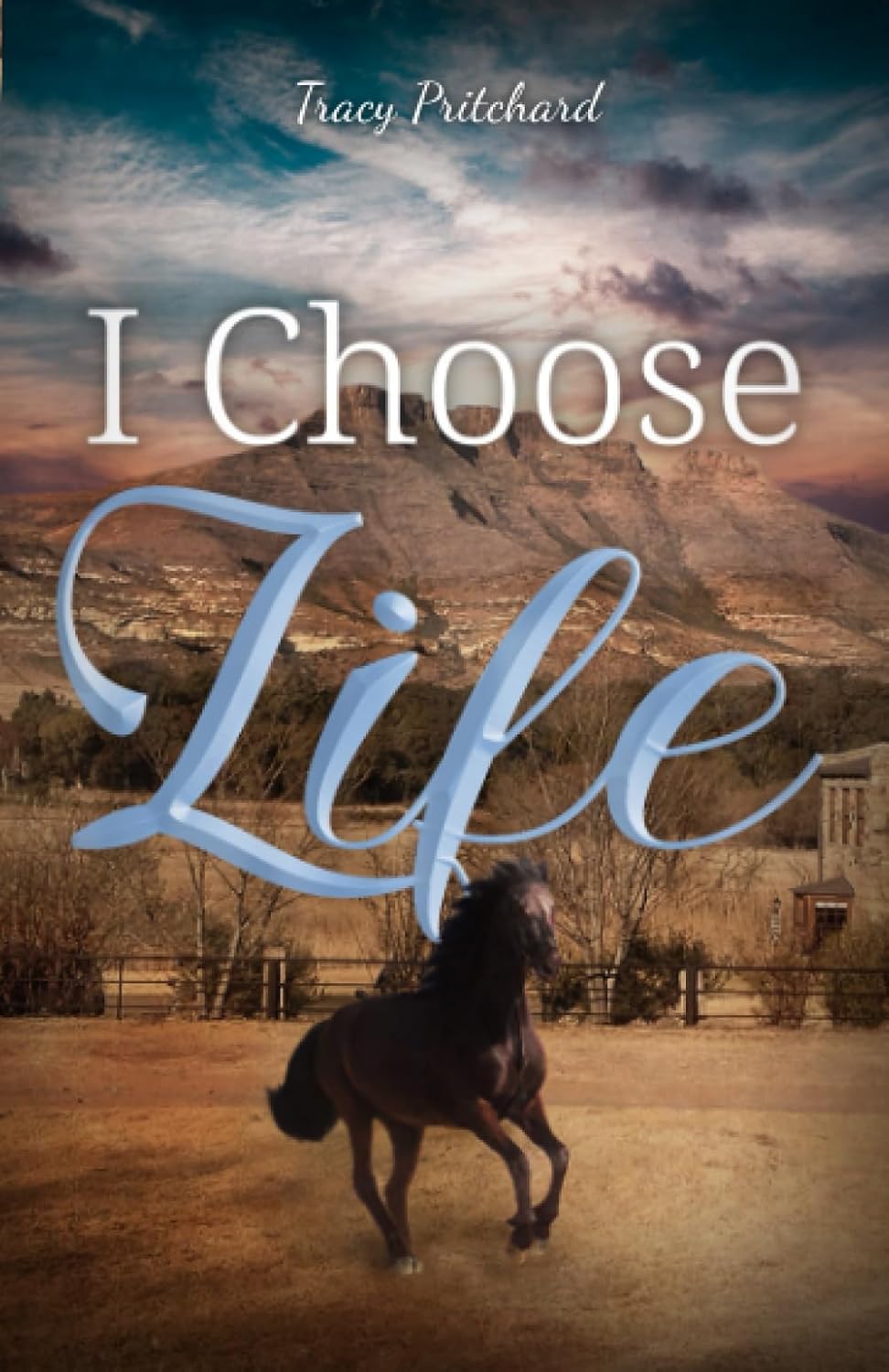 Amazon.com: I Choose Life: 9798861954174: Pritchard, Tracy: Books