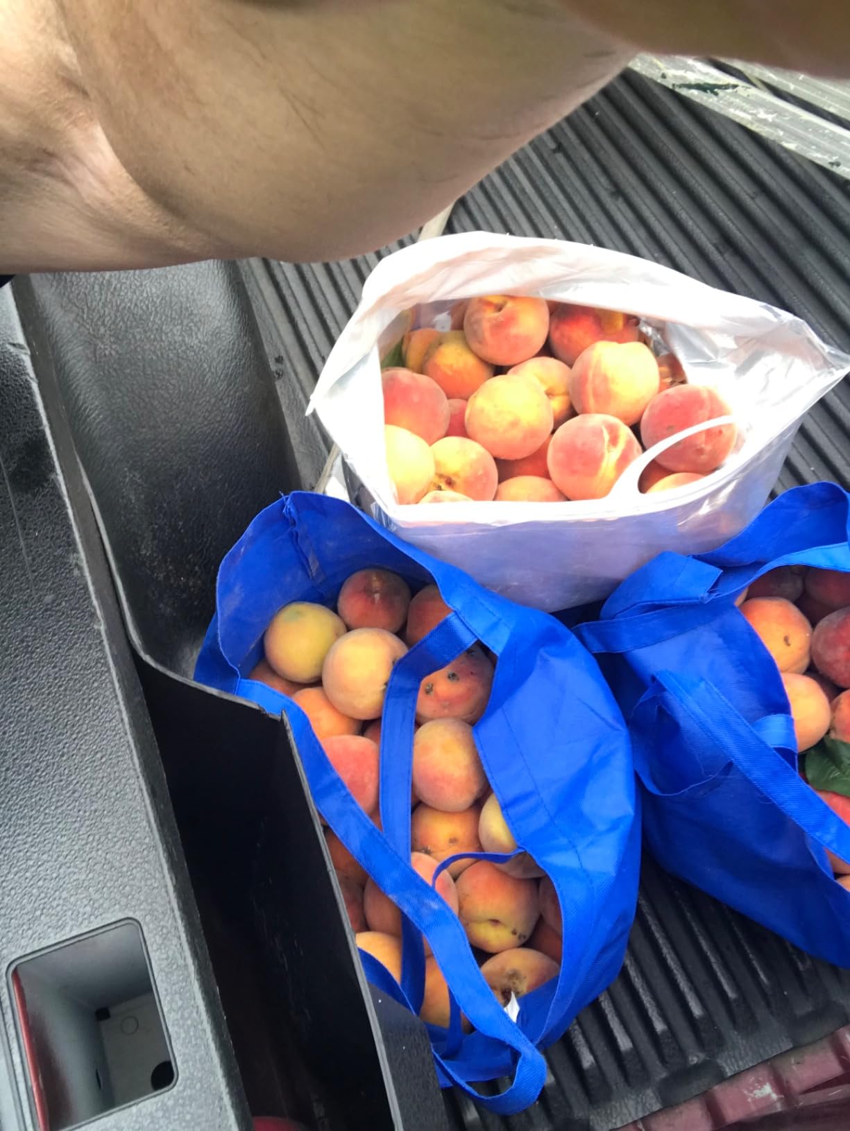 Amazon.com: Ball Fruit-Fresh Produce Protector (Pack of 4) : Grocery ...