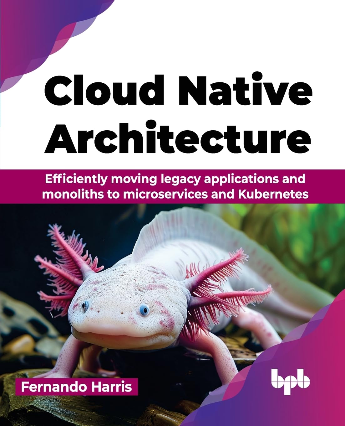Buy Cloud Native Architecture: Efficiently moving legacy applications ...