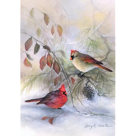 Amazon.com : Toland Home Garden 119353 Winter Rest Cardinals Winter ...