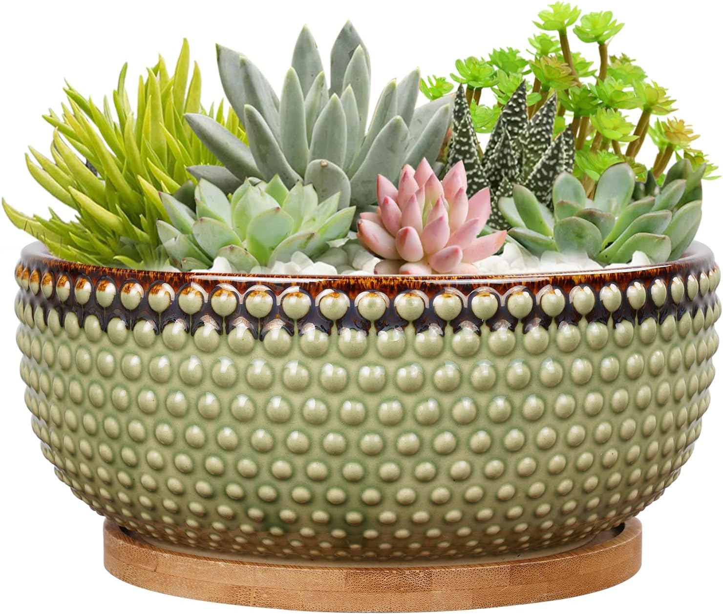 Amazon.com : Gonetre Handmade Vintage Resin Peacock Succulent Planter ...