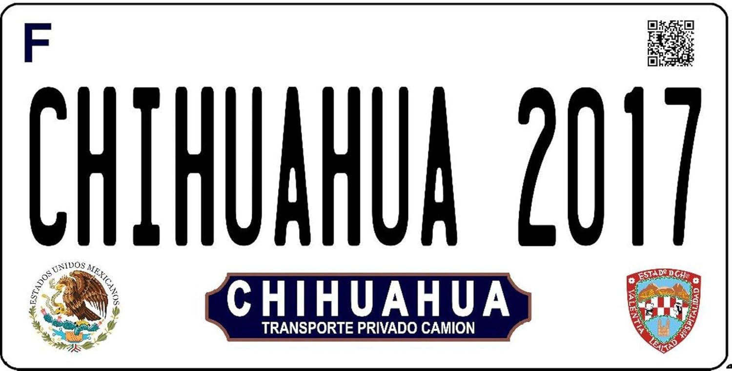 Amazon.com: Chihuahua Mexico Photo License Plate : Automotive