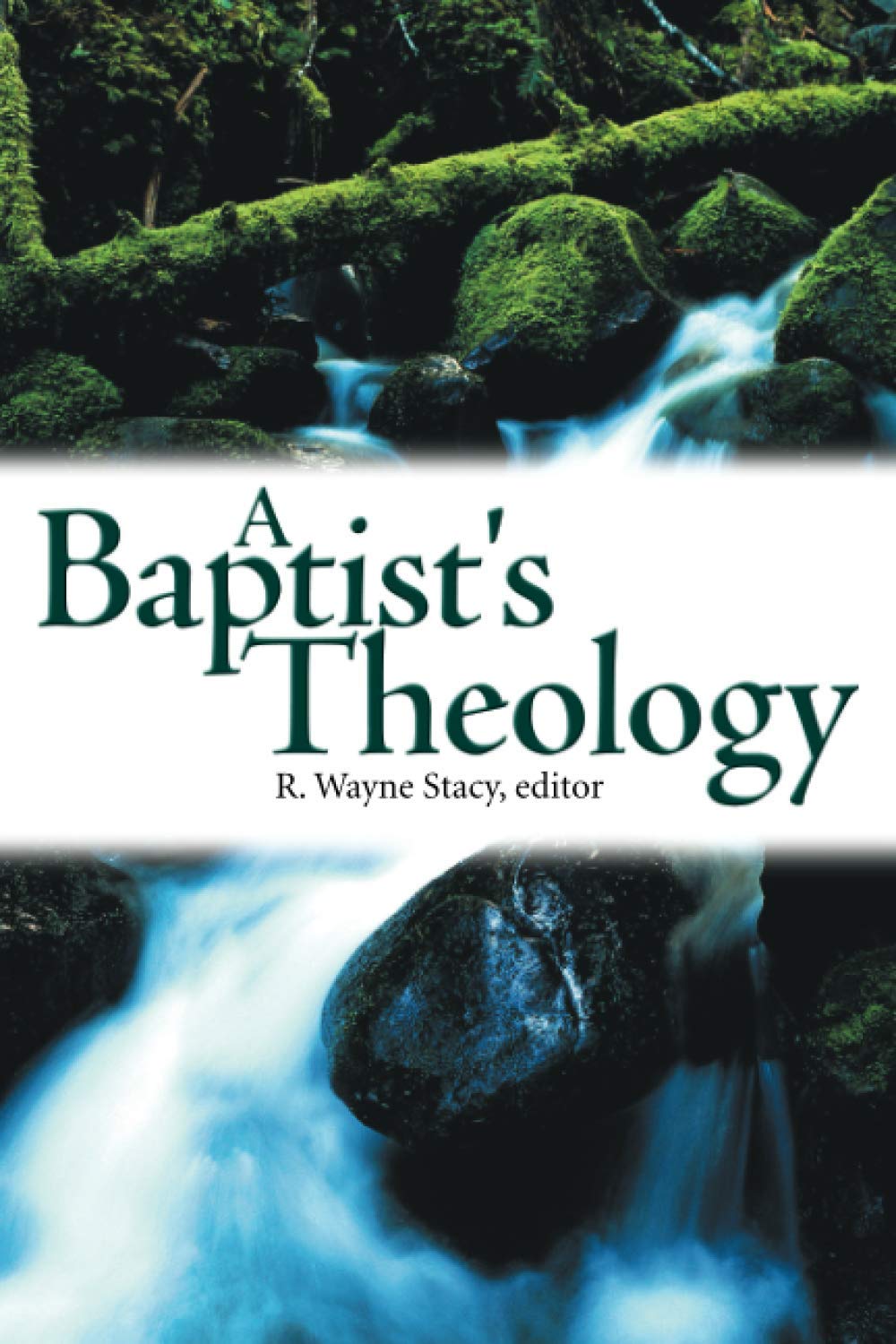 A Baptist's Theology: Stacy, R. Wayne, Hendricks, William L., Hewitt, T ...