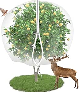 Amazon.com : 10'x10' Large Fruit Tree Netting Cover for Squirrels and Birds with Zipper, Fruit ...