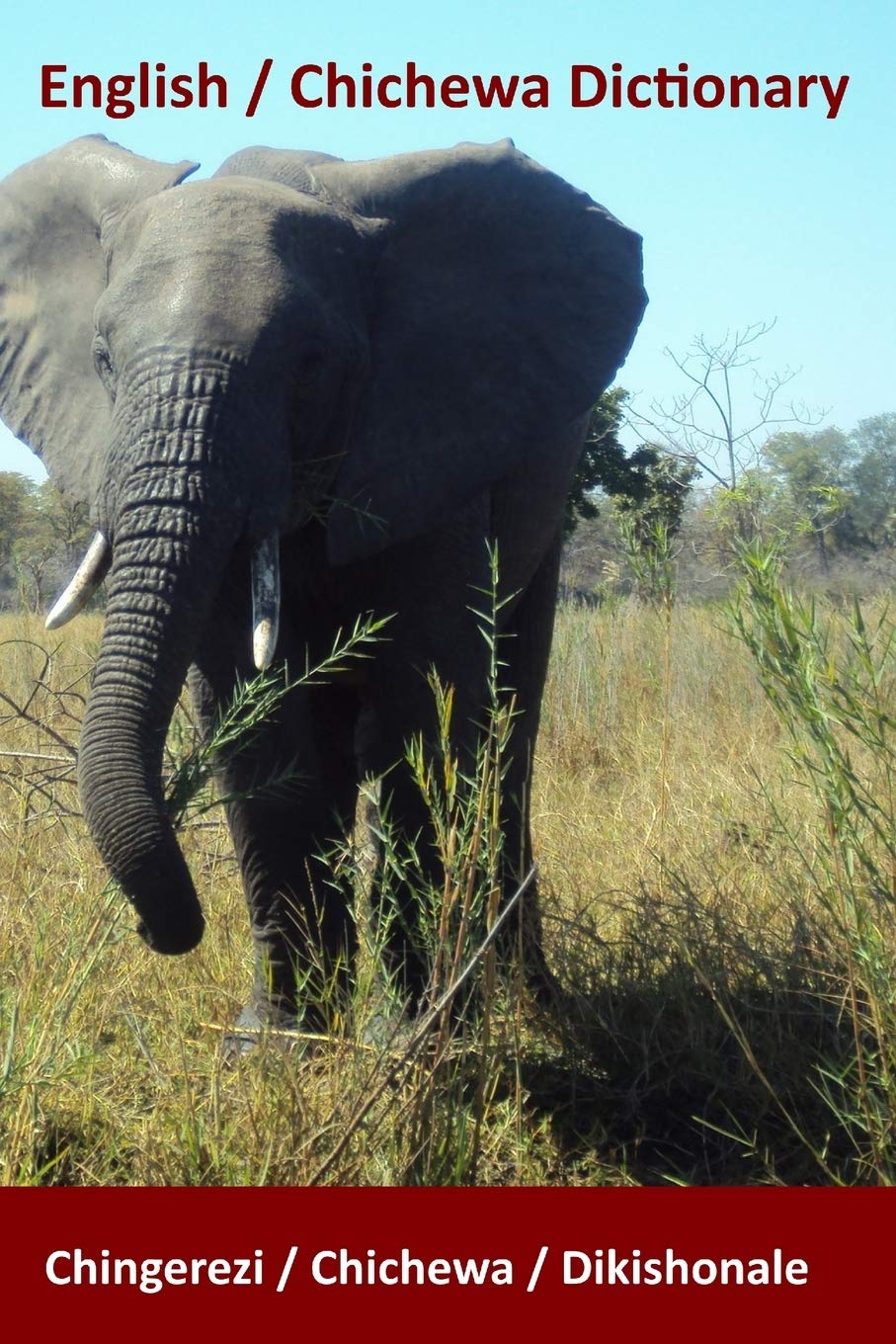 Amazon.com: English / Chichewa Dictionary: Chingerezi / Chichewa ...
