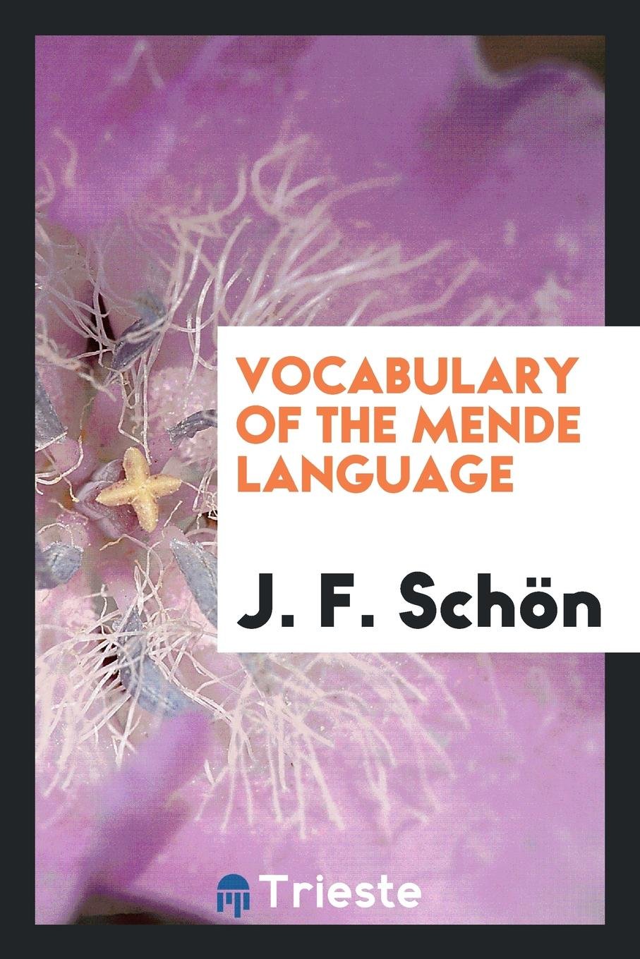 Vocabulary of the Mende language: Schön, J. F.: 9780649730117: Amazon ...