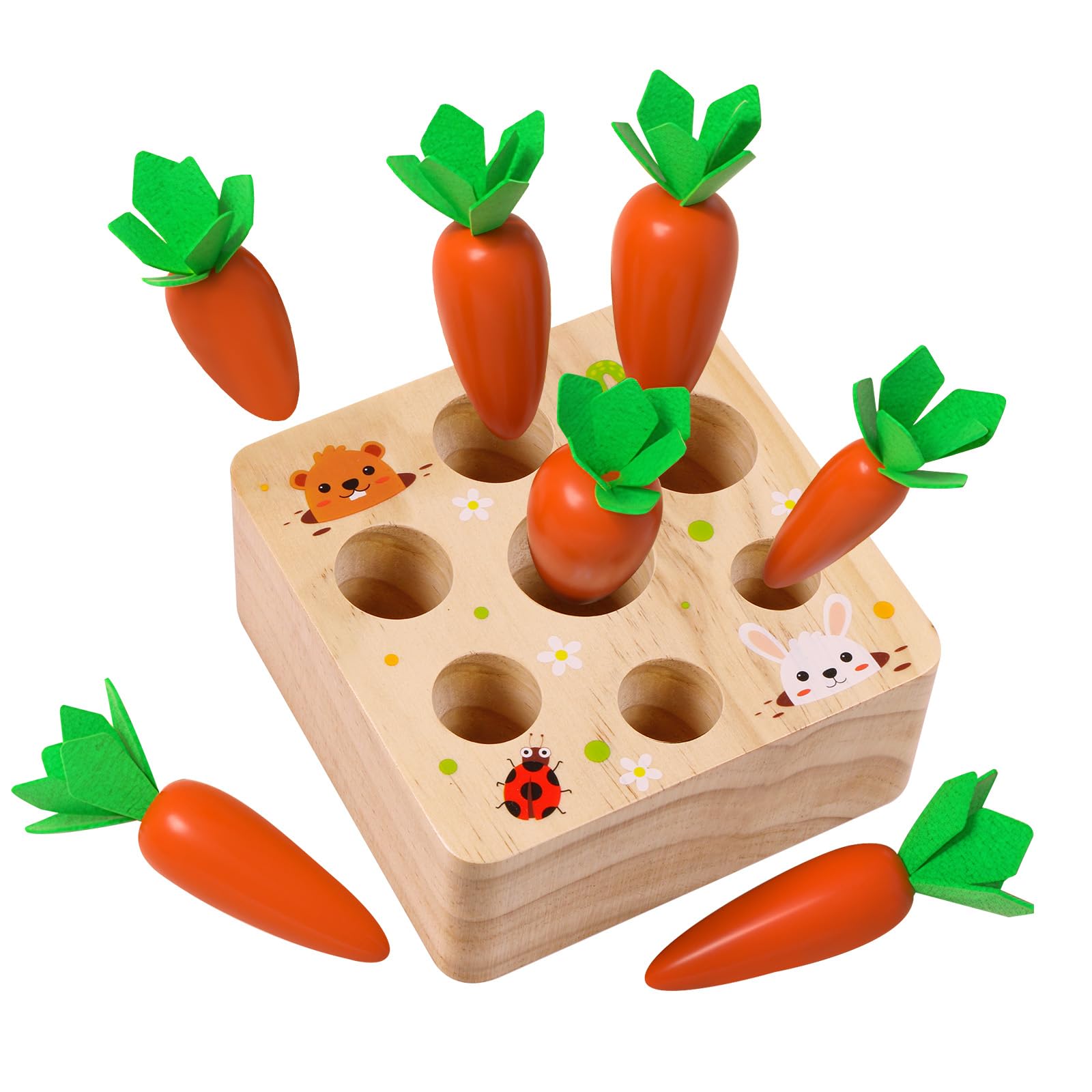 Amazon.com: FZGGBO Montessori Toys for 1 Year Old, Montessori Baby ...