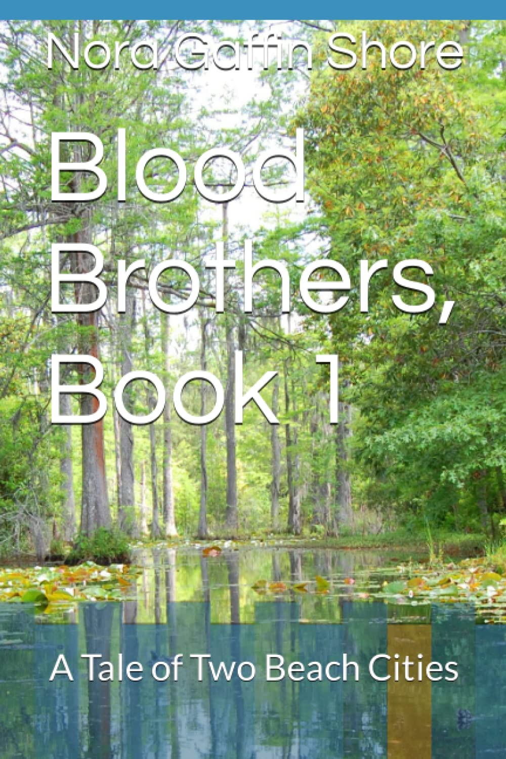 Blood Brothers, Book 1 revised: A Tale of Two Beach Cities: Shore, Nora ...