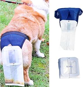 Amazon.com : MANON ROSA Wearable Waste Collection Bag for Elderly Dogs ...