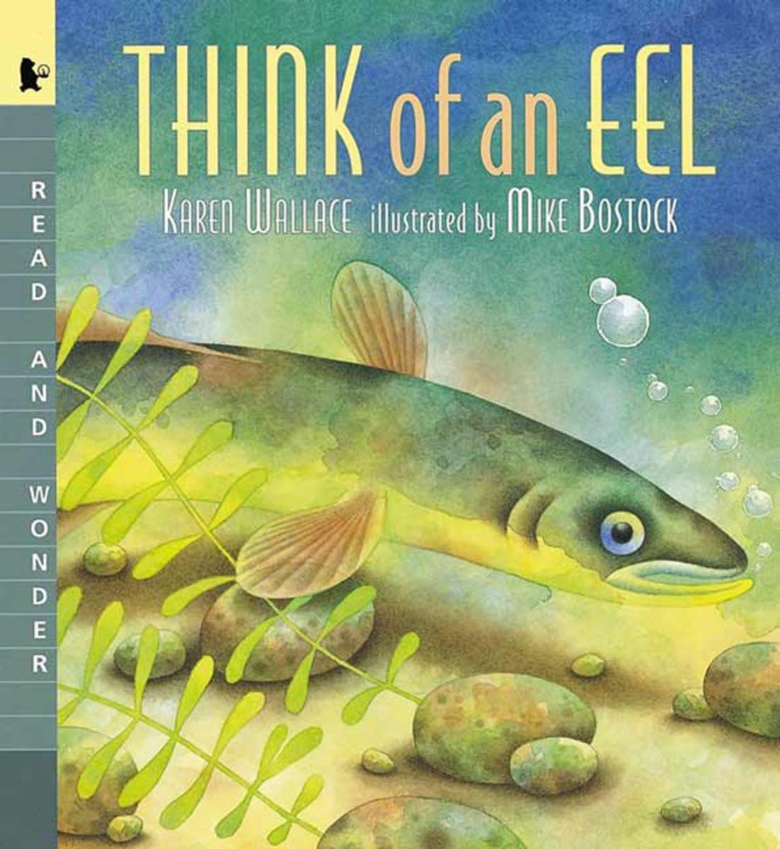Think of an Eel: Read and Wonder: Wallace, Karen, Bostock, Mike ...