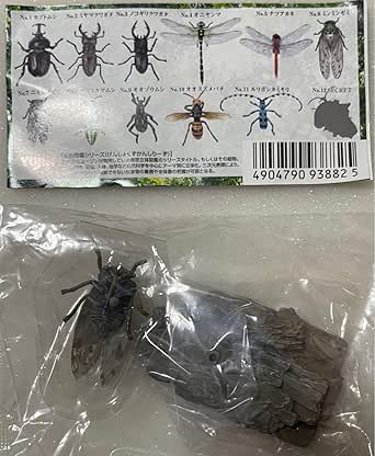 Amazon.co.jp: Primary Color Japanese Insect Picture Book I Nieniizemi ...