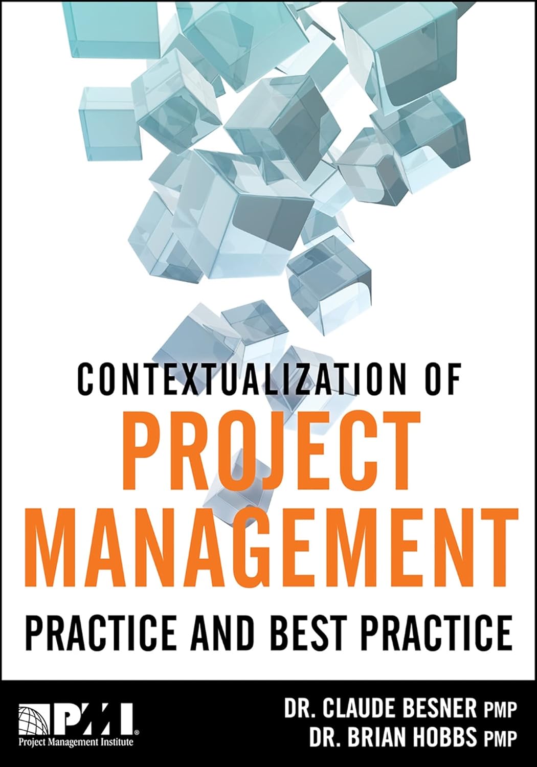 Amazon.com: Contextualization of Project Management Practice and Best ...