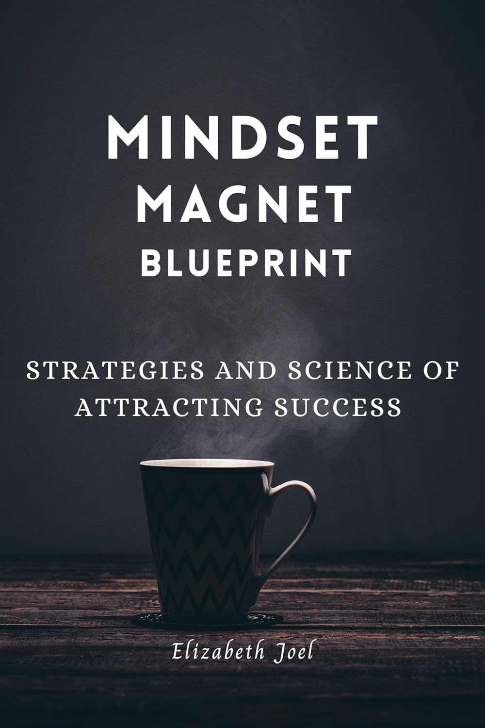 Amazon.com: MINDSET MAGNET BLUEPRINT : Strategies and science of ...