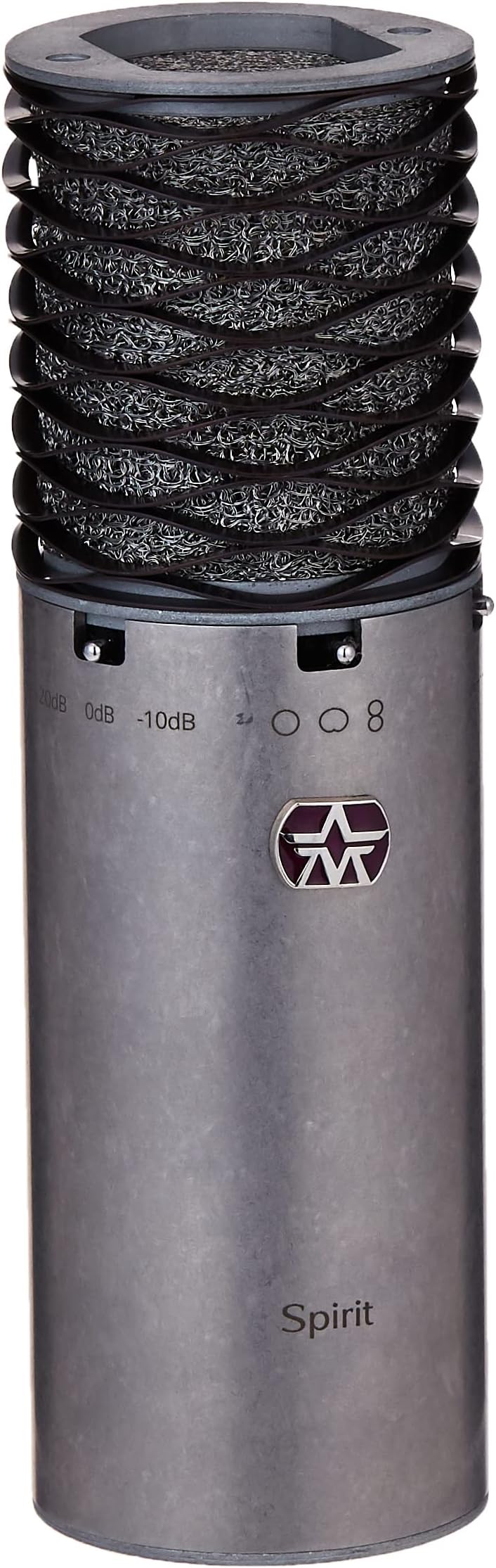 Amazon.com: Aston Microphones Spirit Large Diaphragm Multi-Pattern ...