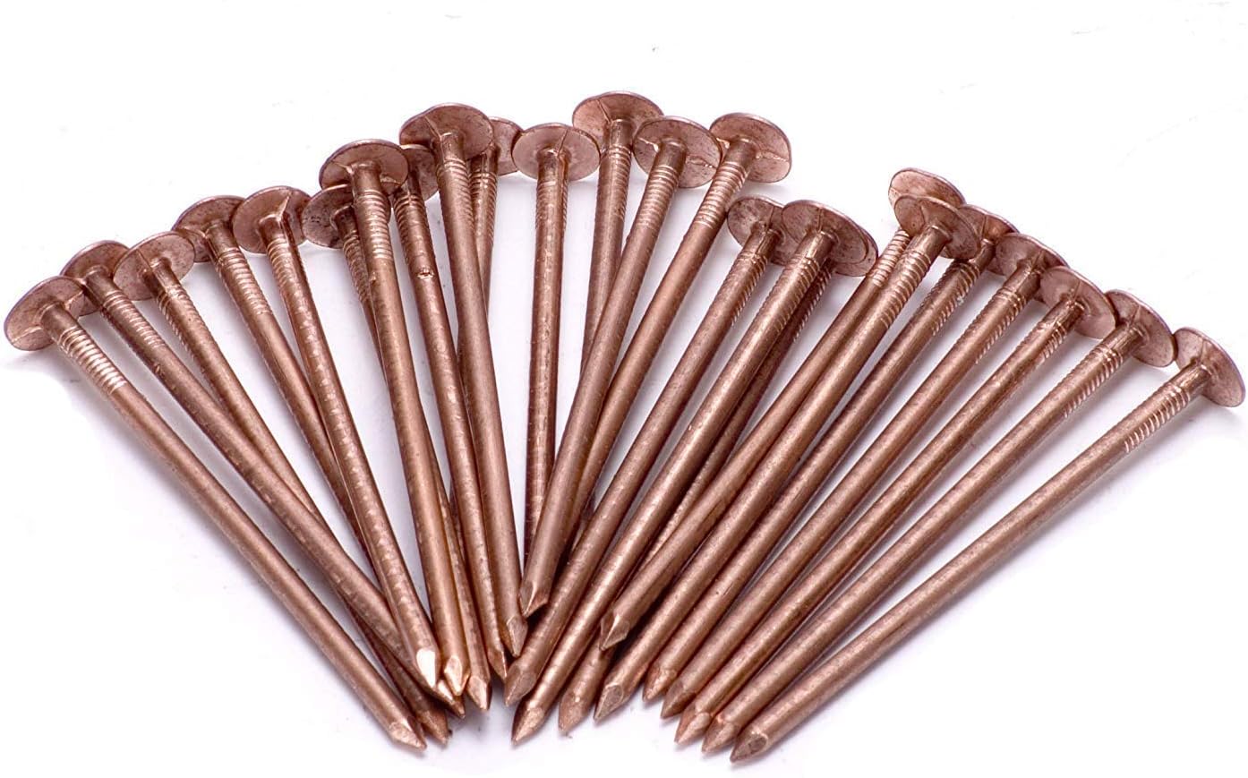 Copper Tree Stump Killer - 30xV.Large 75mm Copper Nails : Amazon.co.uk ...