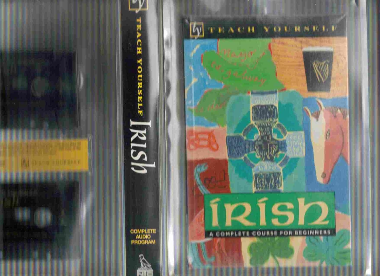 Irish: A Complete Course for Beginners (Teach Yourself): Diarmuid O Se ...