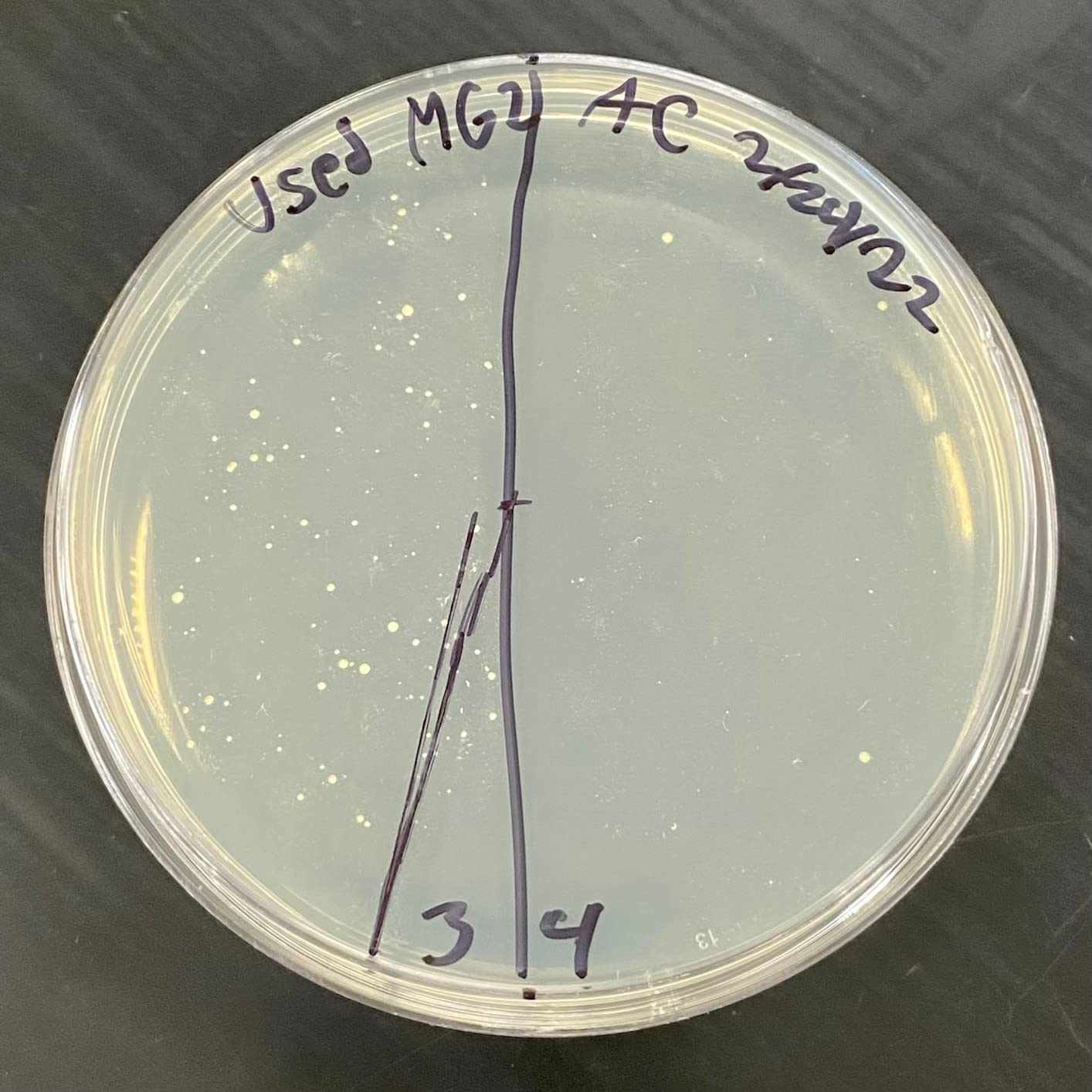 $5/mo - Finance EZ BioResearch Bacteria Science Kit (IV): Top Science ...