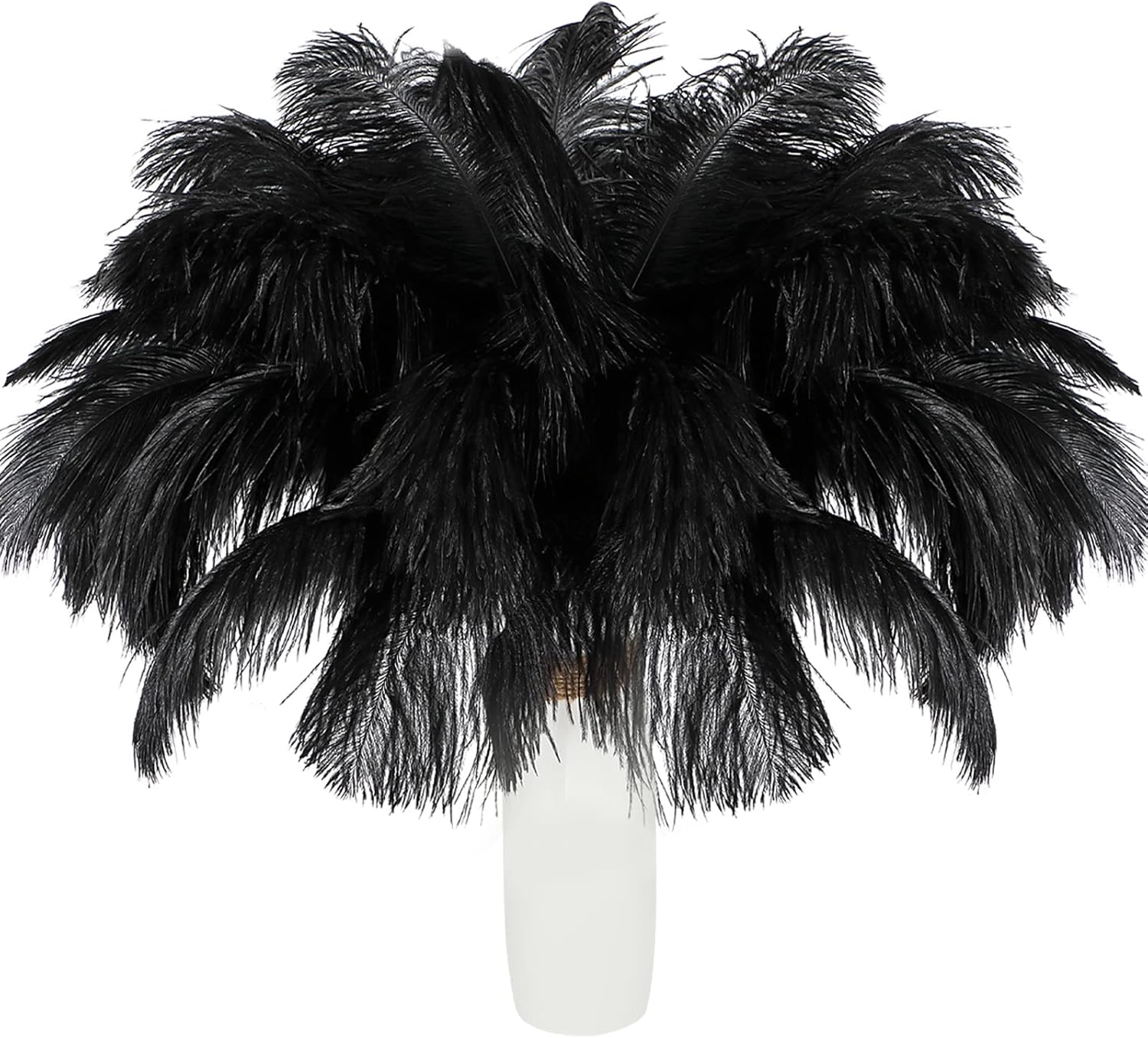 Amazon.com: Black Ostrich Feathers for Centerpieces: 24 Pcs 10-12 ...