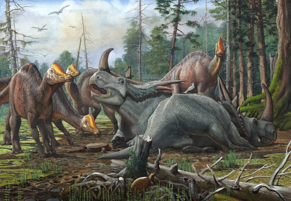 Hypacrosaurus