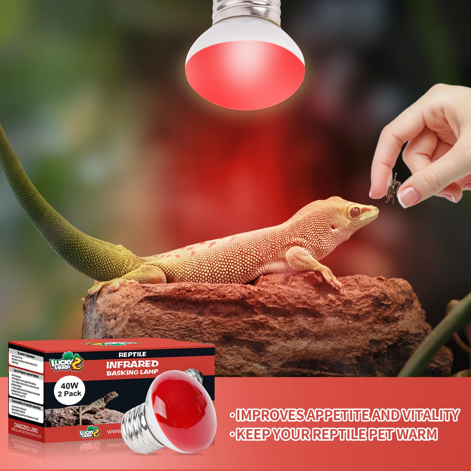 Snapklik.com : Infrared Heat Lamp, 40W Reptile Heat Lamp 2 Pack Red ...