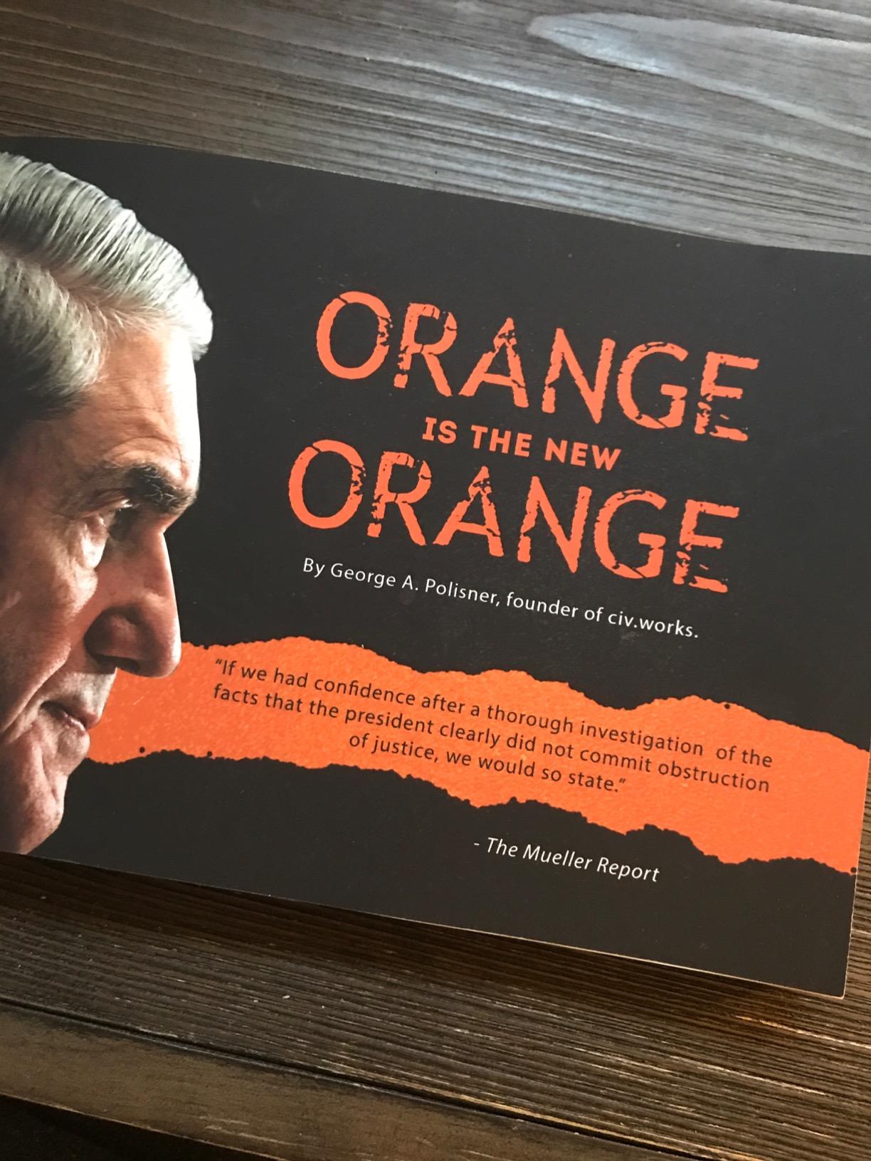 Orange is the New Orange: Our Big Book of Impeachment: Polisner, Mr ...