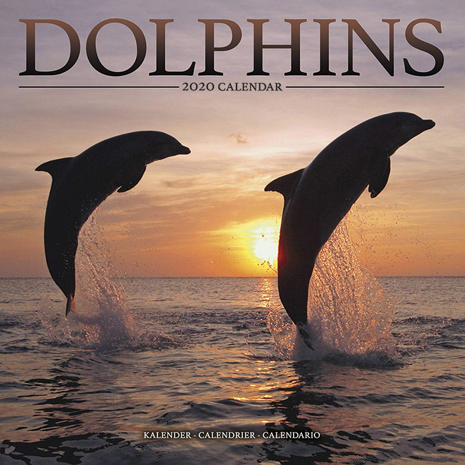 Dolphin Calendar - Ocean Calendar - Calendars 2019 - 2020 Wall ...