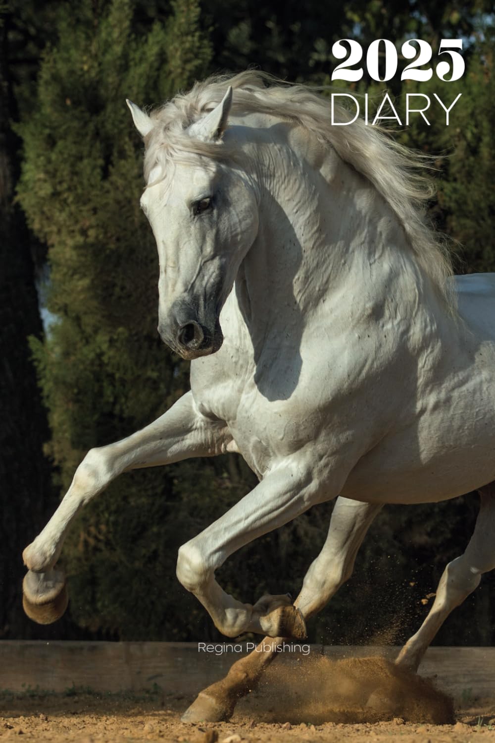 2025 Horse diary and planner: 200 page week per view with large notes ...