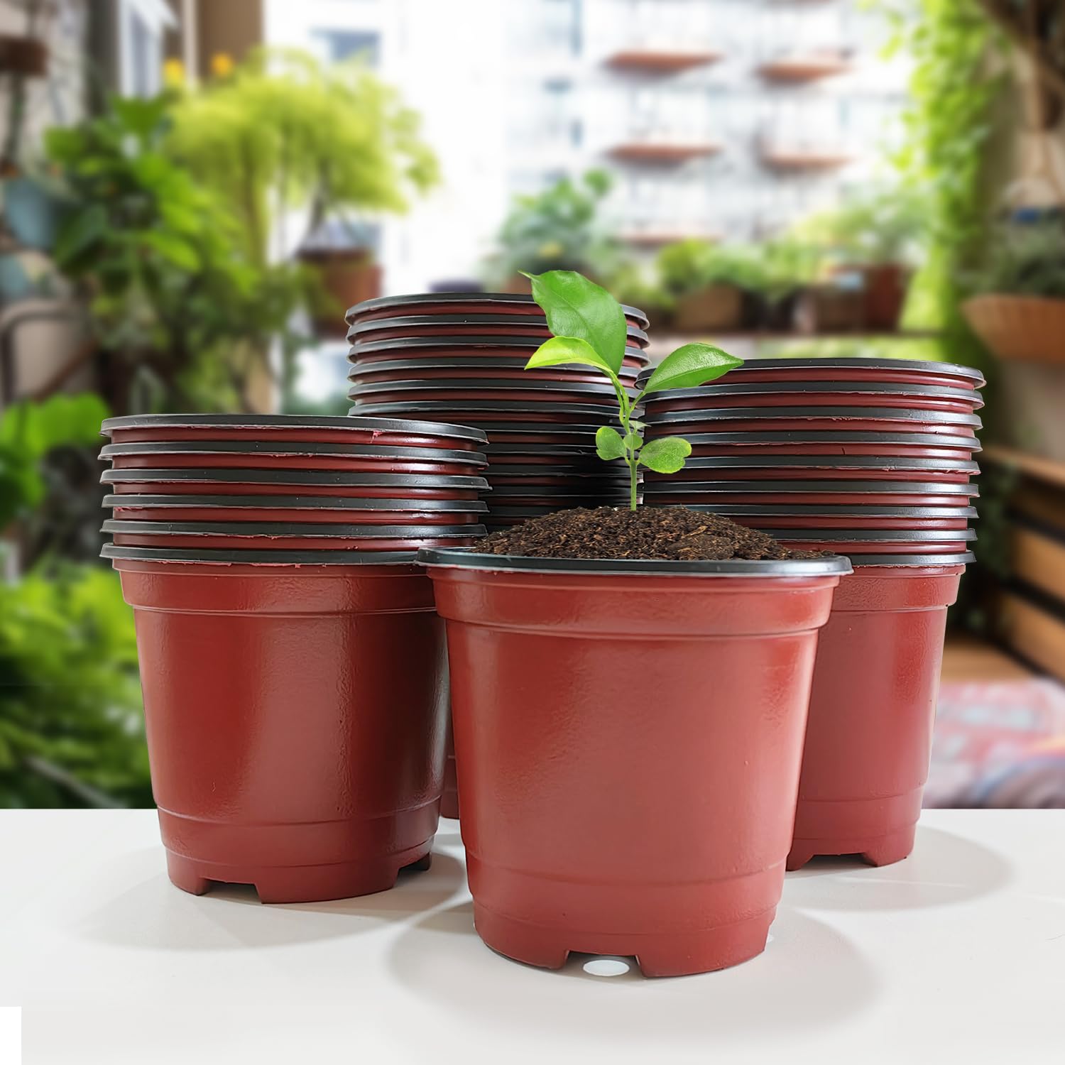 RooTrimmer 4 inch Round Nursery Pots 60pcs, 12 Cell Nursery Pots Trays ...