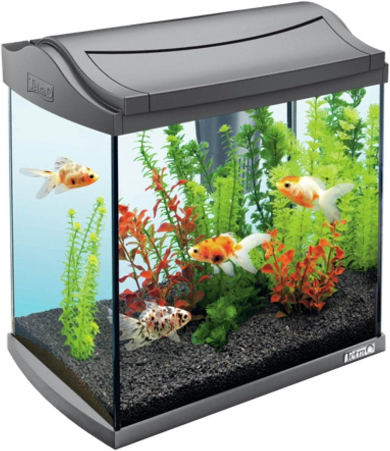 Tetra Aqua Art Aquarium Fish Tank, 30 Litre : Amazon.co.uk: Pet Supplies