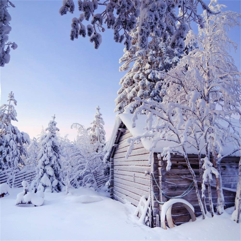 Buy CSFOTO 5x5ft Winter Snow Scenery Backdrop Snowscape Snow Landscape ...
