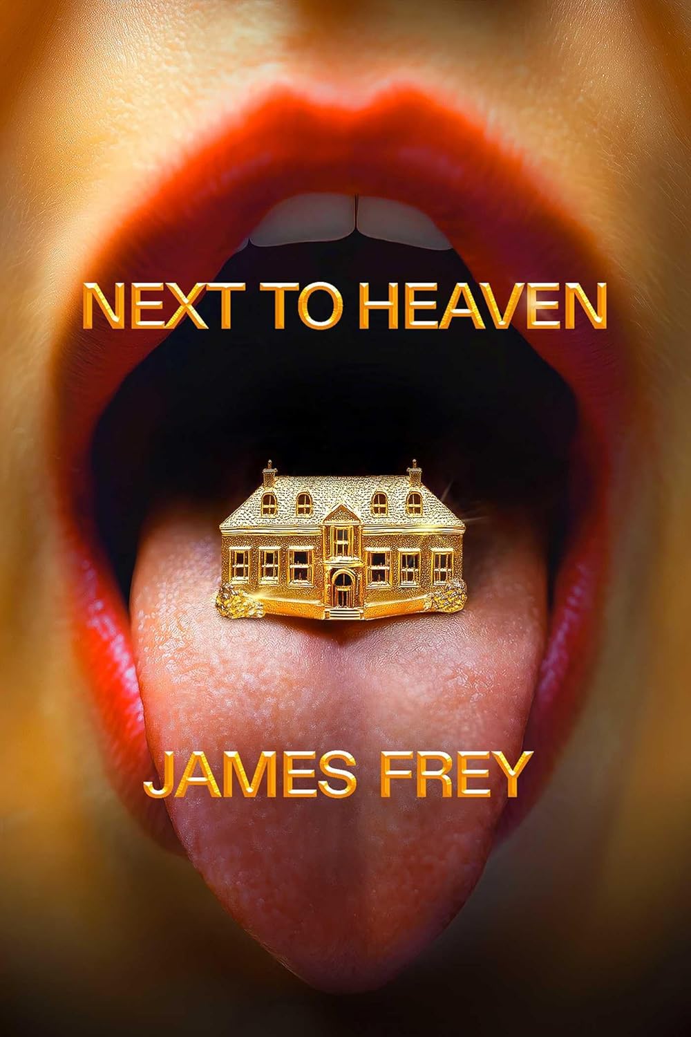 Amazon.com: Next To Heaven: A Novel: 9798893310269: Frey, James: Books