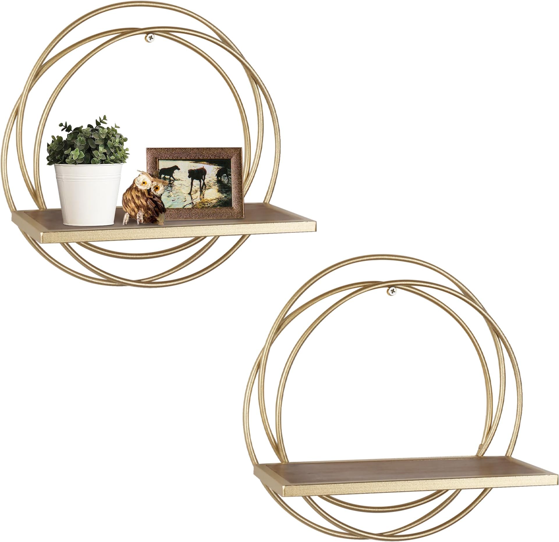 Amazon.com: Mokof Circle Wood Wall Floating Shelf - Decorative Display ...