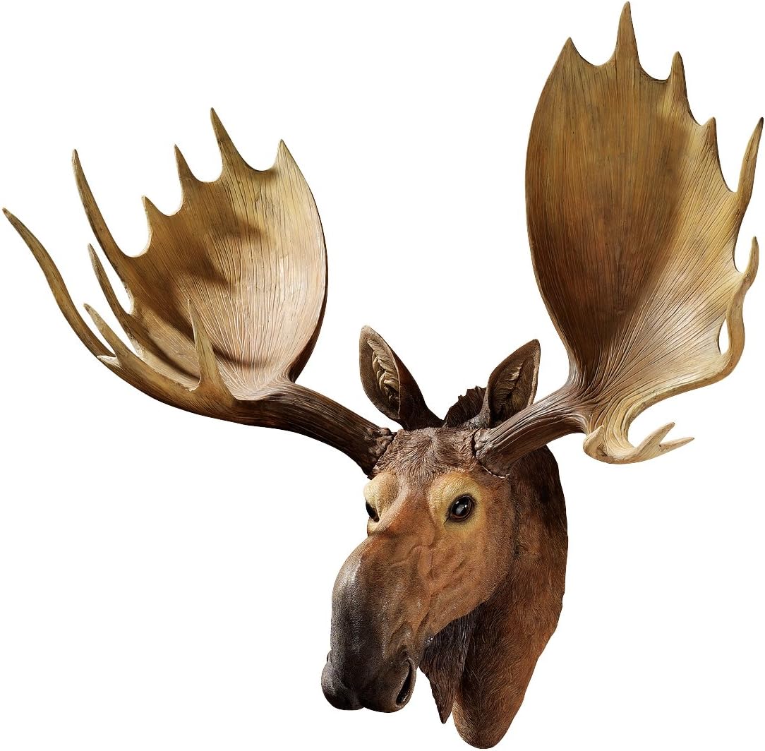 Amazon.com: Design Toscano Alaskan Moose Trophy Wall Sculpture, 26.97 ...